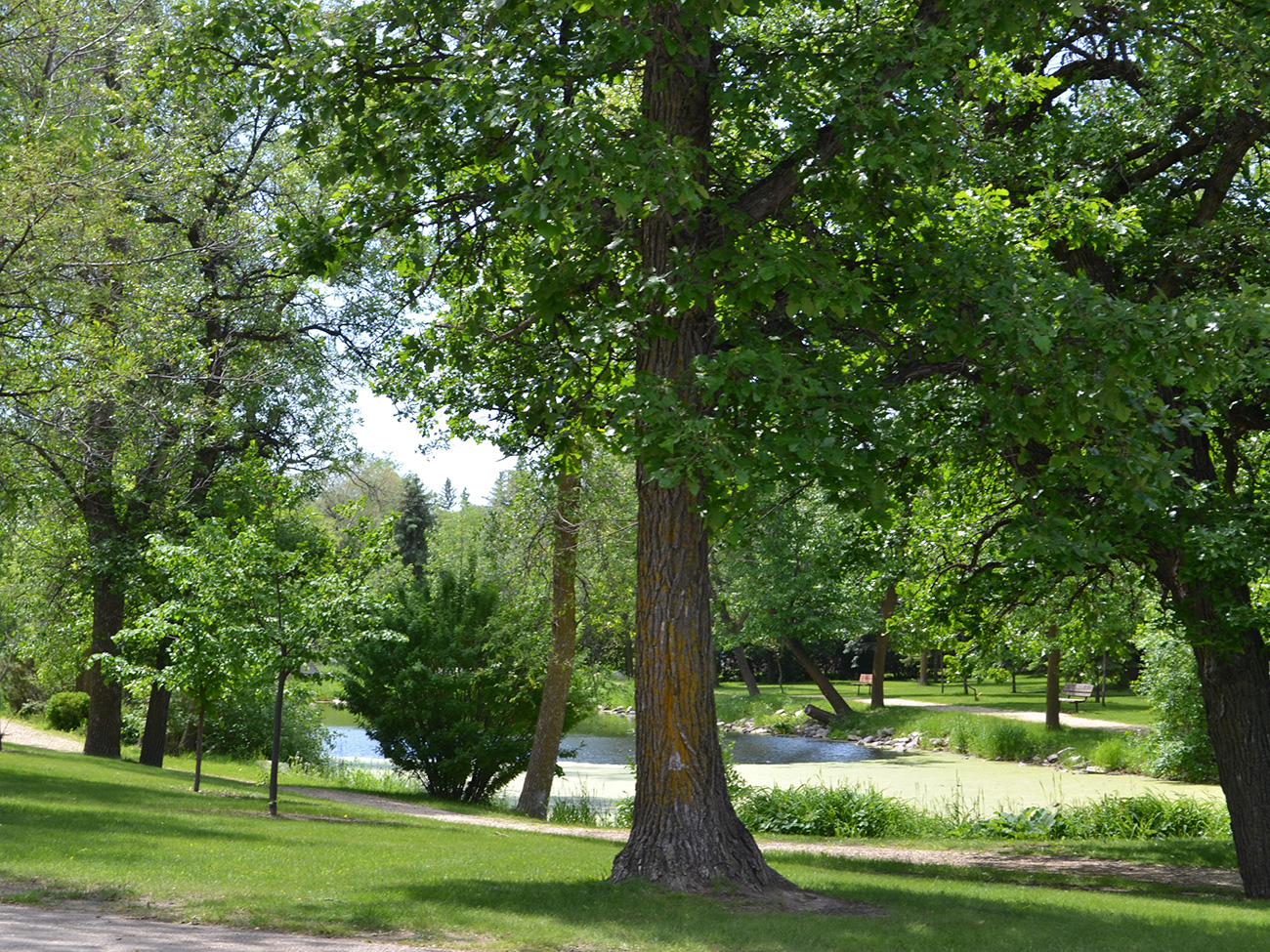 Gallery – Number One Broadway Place